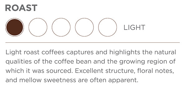 Mexico Bloom Jaguar - Grounds & Hounds Coffee Co.